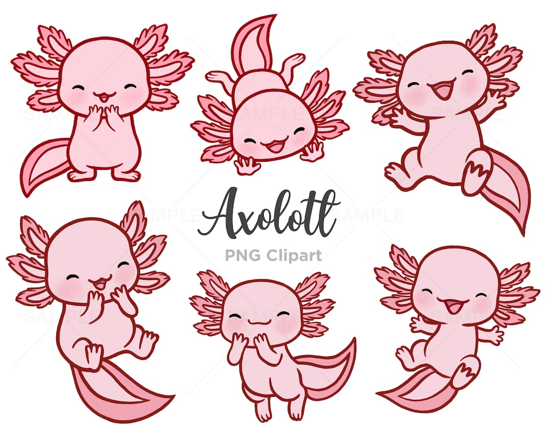 Cute Axolotl Clipart, Kawaii Axolotl, Axolotl Illustrations, Pastel ...