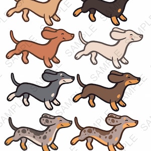 Dachshunds Clipart, Sausage Dog Clip Art, Cute Dog Illustrations, Hand ...