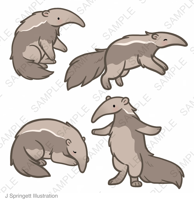 Anteater Clipart, Hand-drawn PNG Illustrations, Commercial Use - Etsy ...