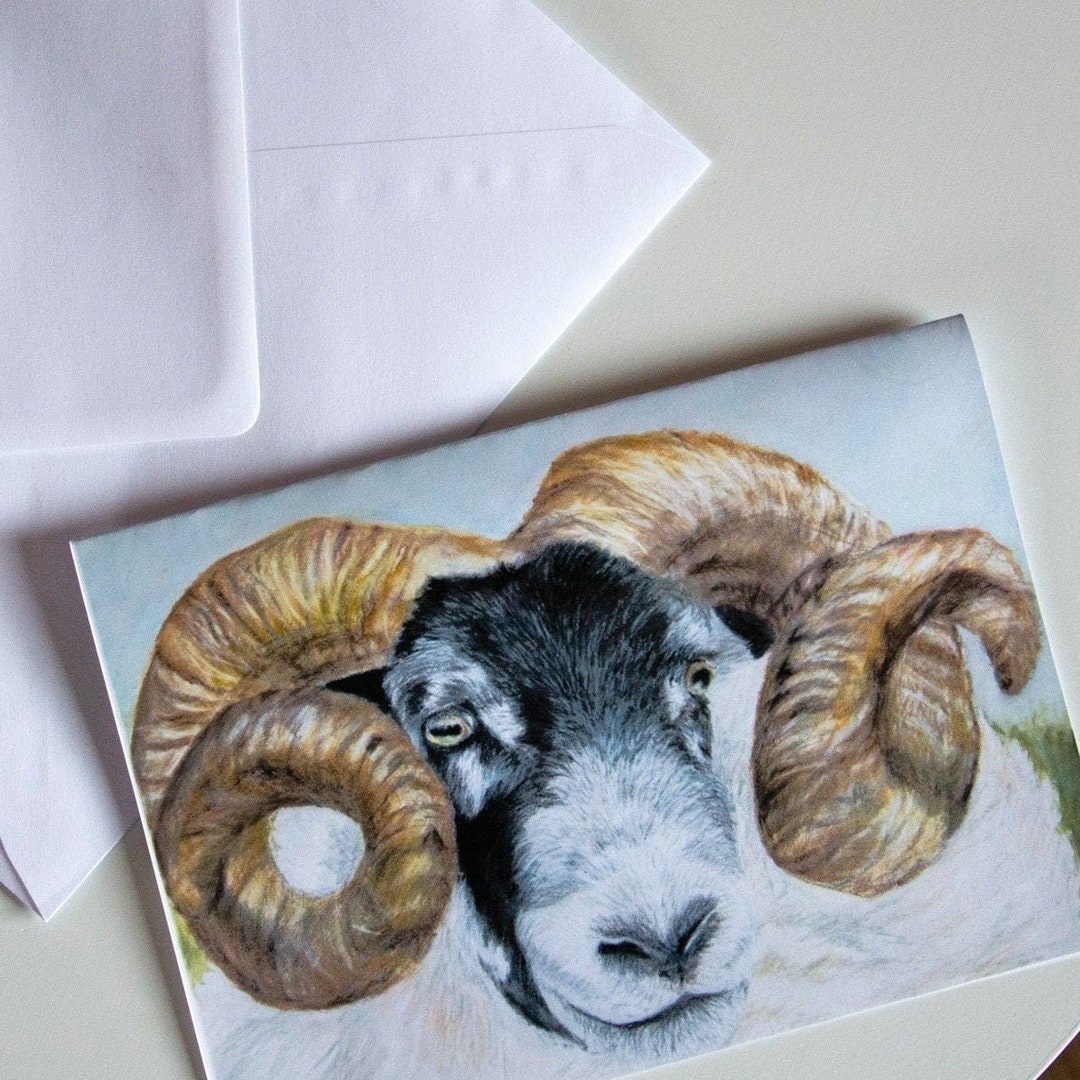 Hand Drawn Sheep Blank Greetings Cards,sheep Birthday Card, Sheep ...