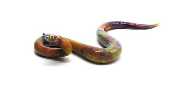 Rainbow Colored Snake