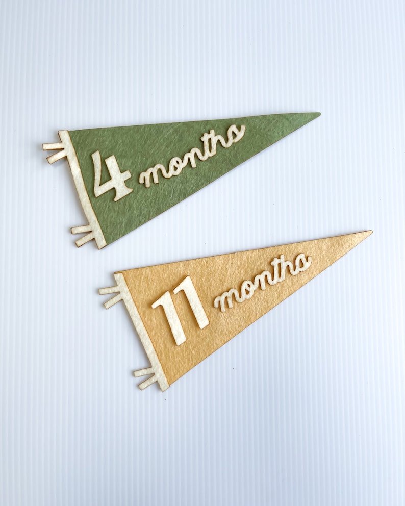 Felt Pennant Flag Milestone Set: Newborn Photo Prop - Etsy