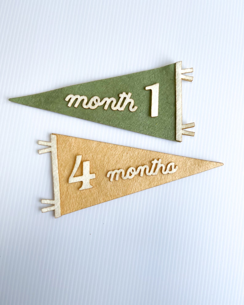 Felt Pennant Flag Milestone Set: Newborn Photo Prop - Etsy
