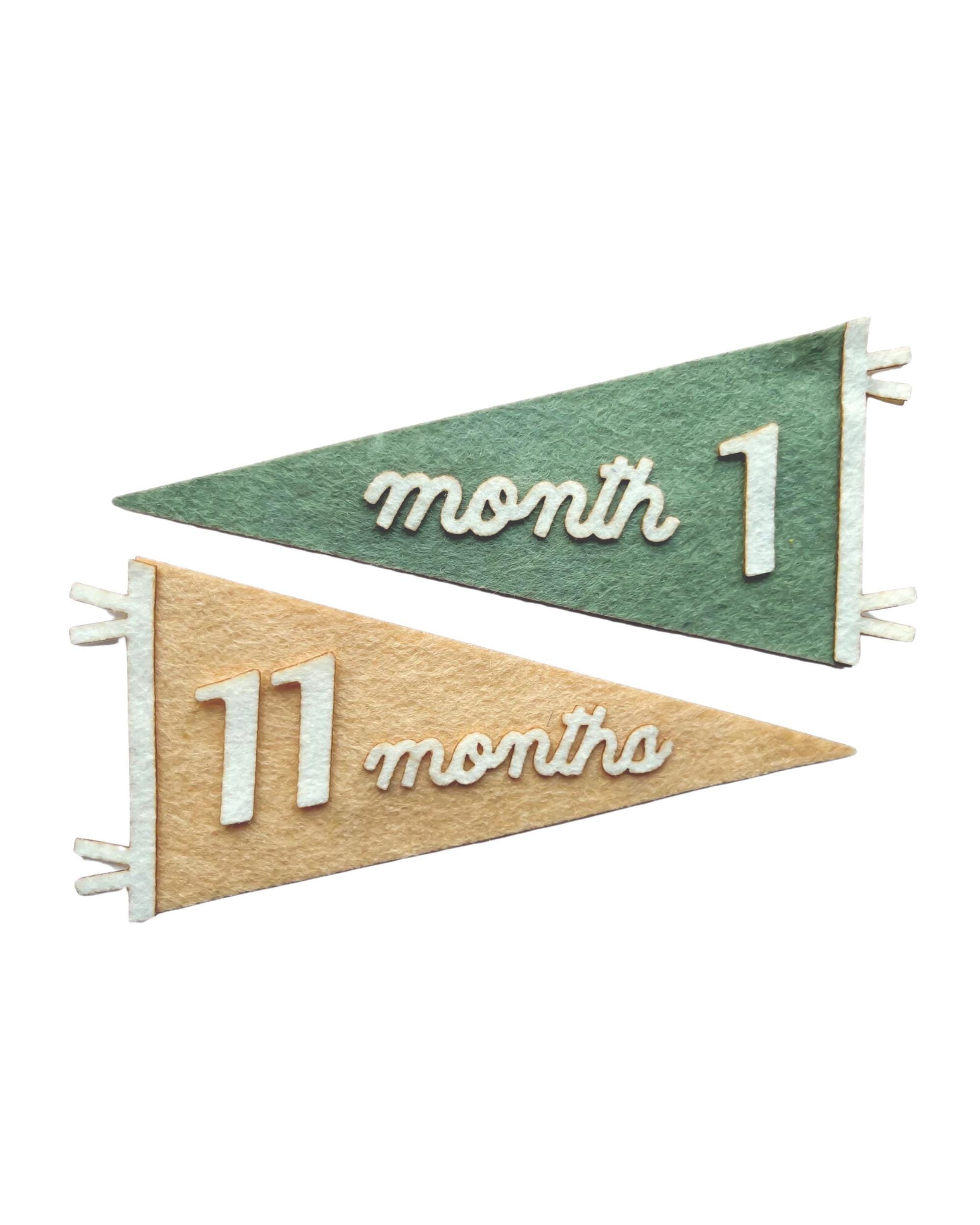 Felt Pennant Flag Milestone Set: Newborn Photo Prop - Etsy