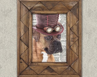 Steampunk Boxer - Etsy