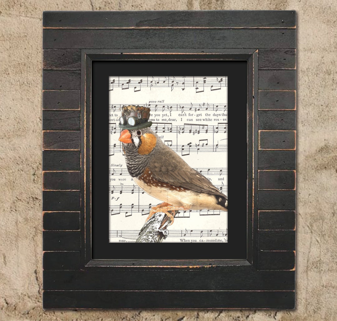 Impresión de la música: Pájaro Steampunk Zebra Finch Songbird en Top ...