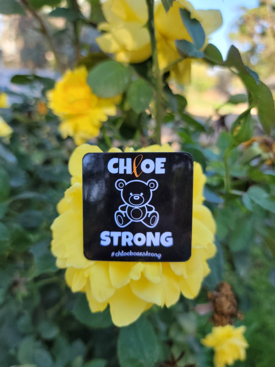Chloe Bear Strong Square Mini Sticker - Etsy