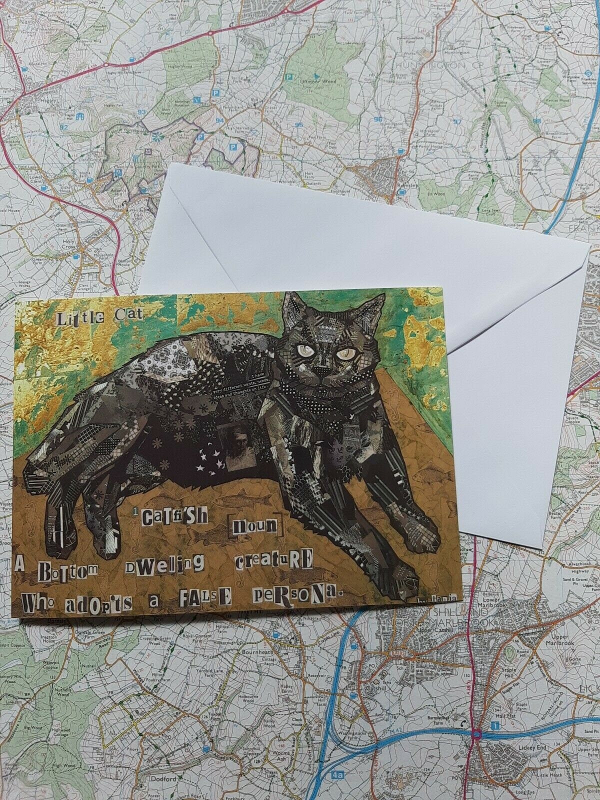 Catfish Greetings Card Cat Birthday Card Animal Humour Pun - Etsy