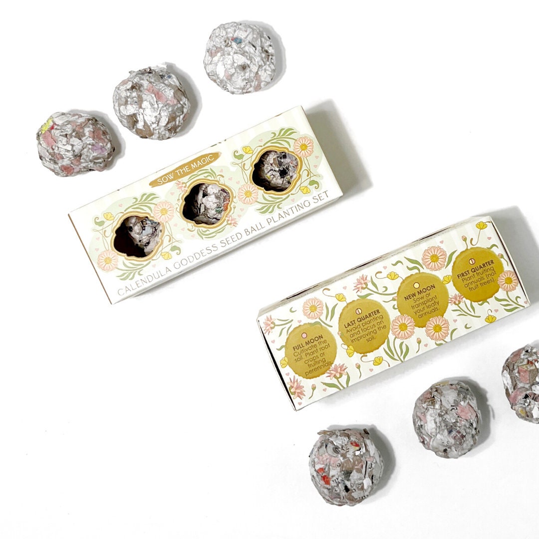 Calendula Goddess Mini Seed Ball Gift Box Set - Etsy