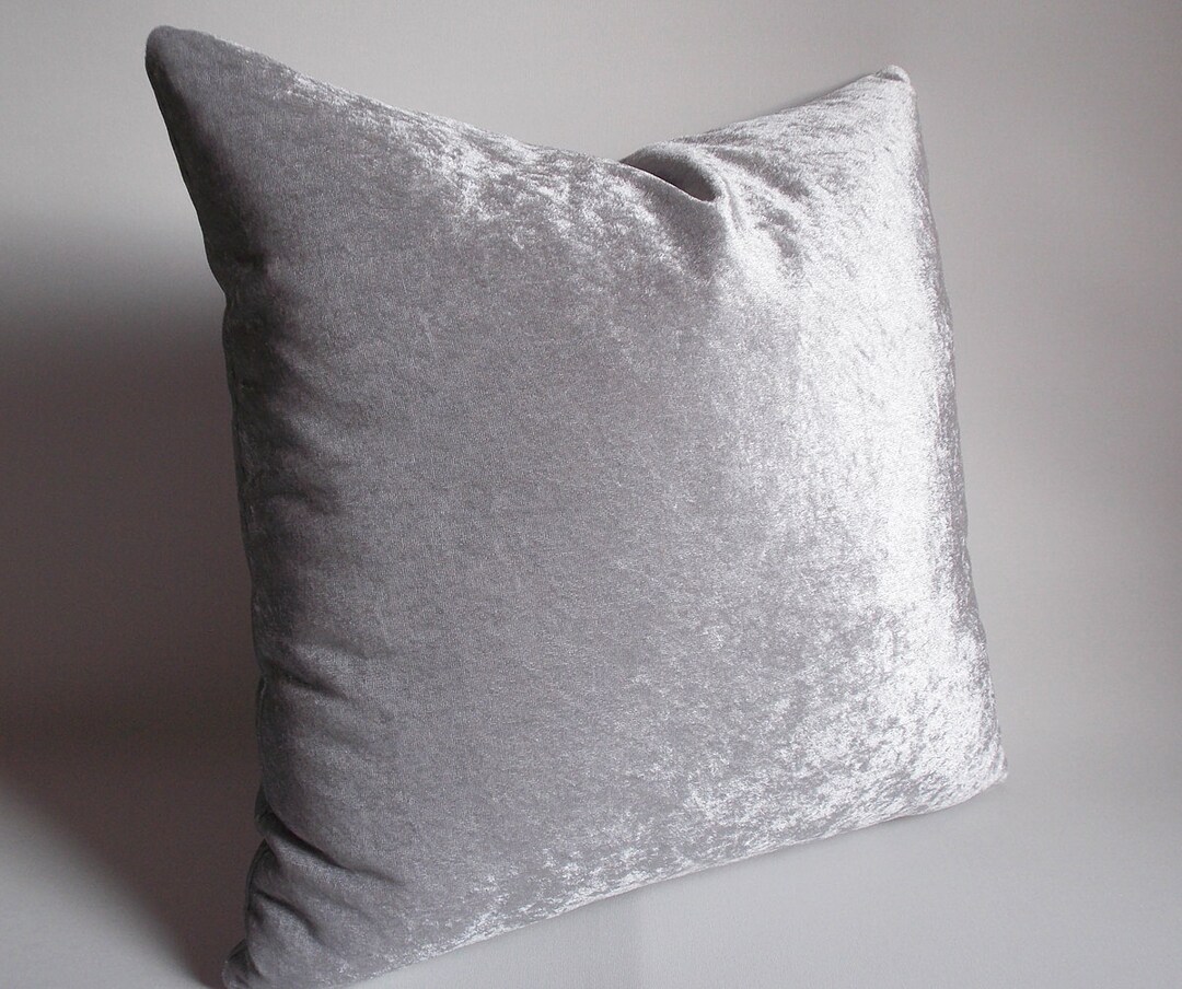 Decorative Velvet Silver 20'' X 20'' Throw Pillows Decorative Pillows ...