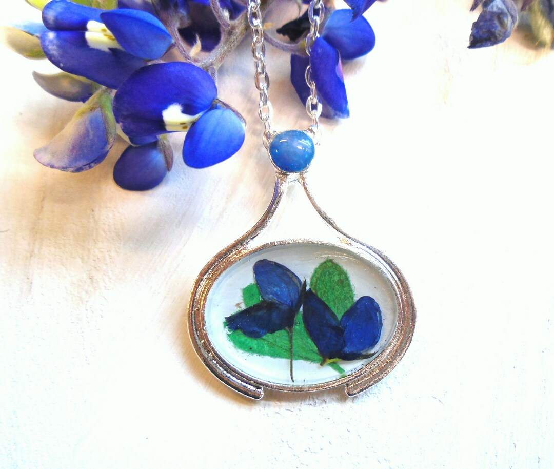Texas Bluebonnet Real Pressed Flower Blue Bonnet Wildflower Silver ...