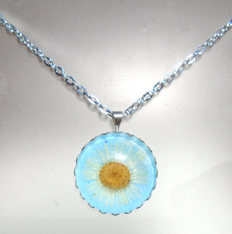 Real White Daisy Pressed Flower Round Silver Plated Penant - Etsy