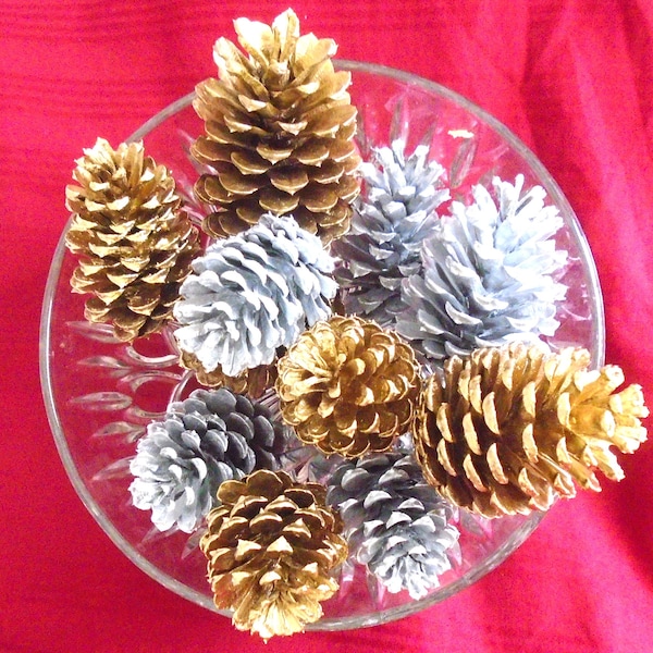 Painted Pine Cones - Etsy