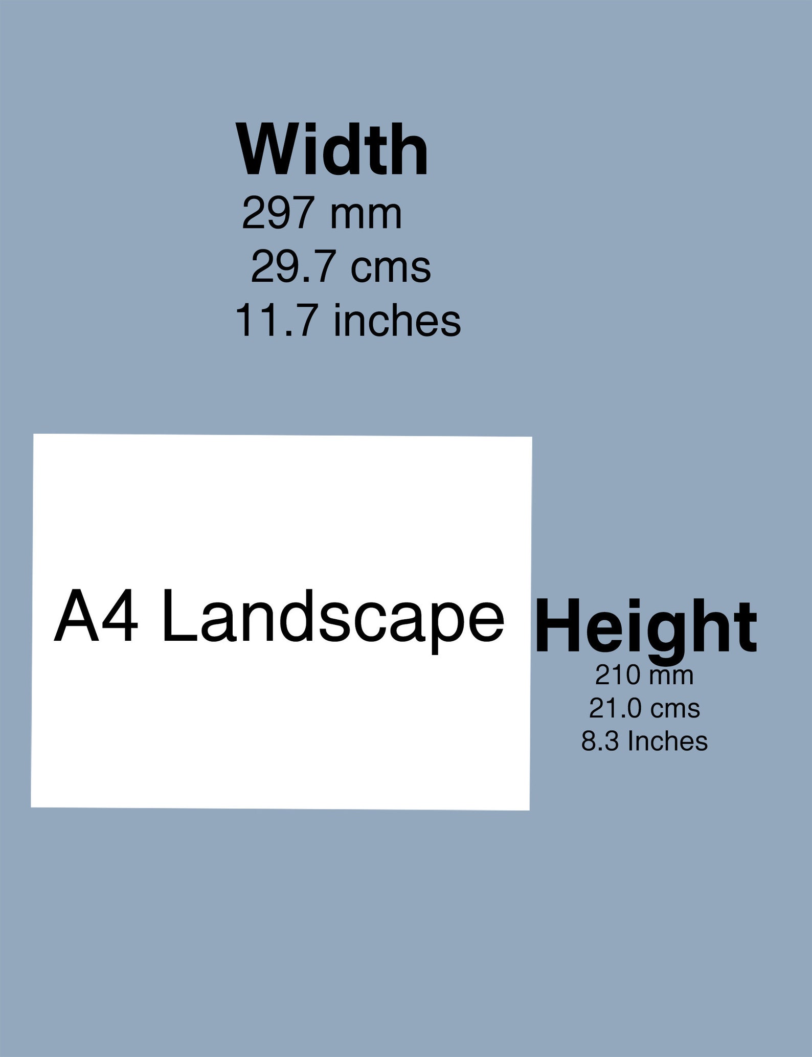 Unframed Scottie Dog 'scottie Spots Nessie' Fine Art - Etsy