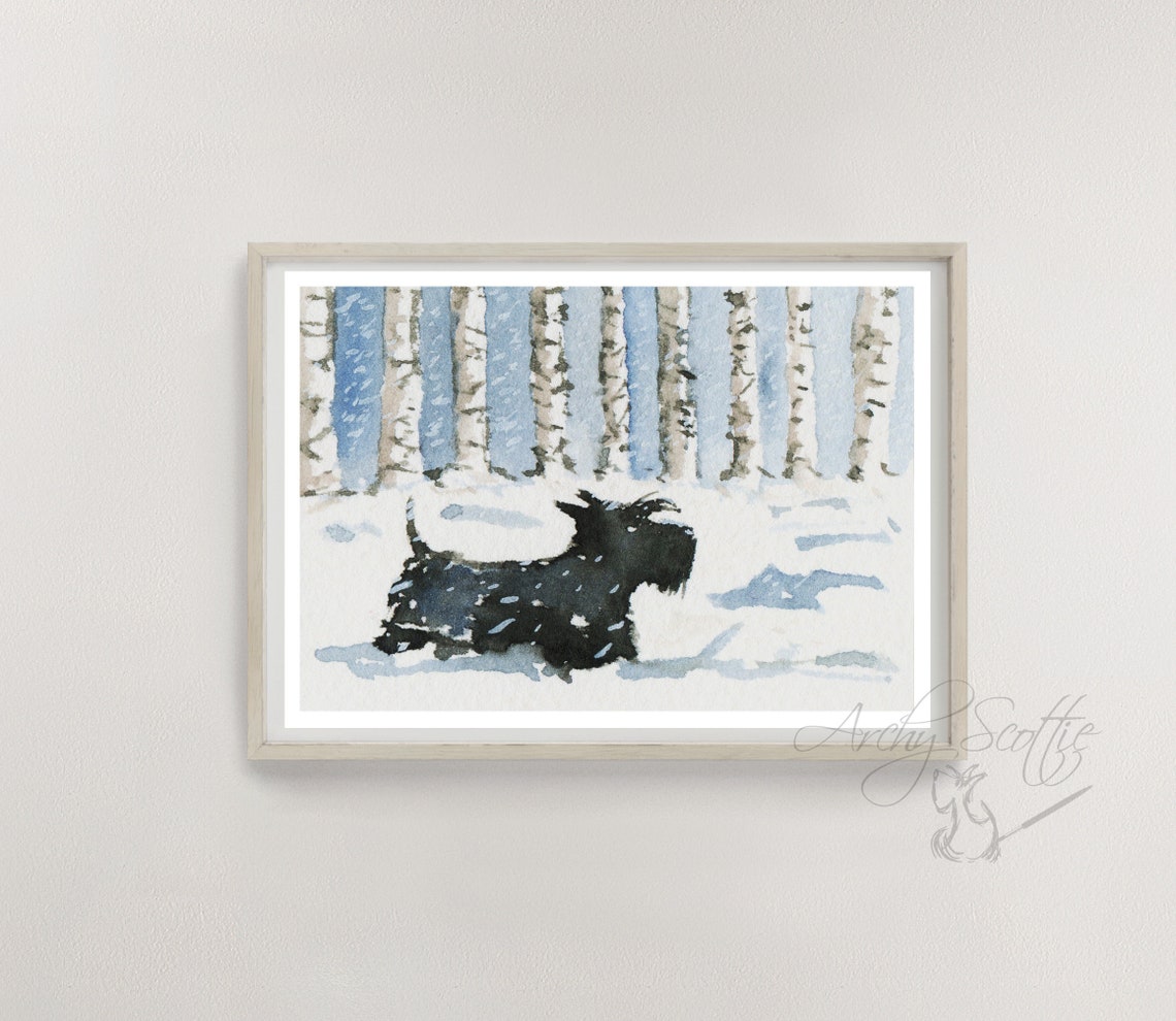 Scottish Terrier Dog Fine Art Print 'scottie Dog in the | Etsy