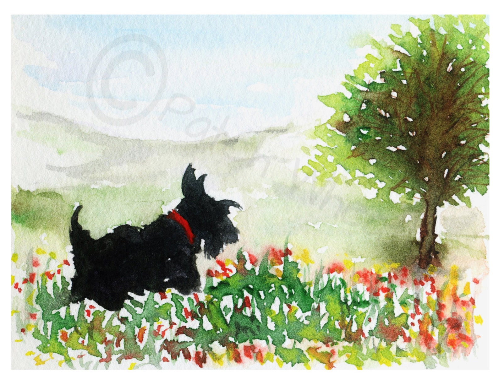 Scottish Terrier Dog Fine Art Print Scottie Dog 'spring Walk' 70 ...