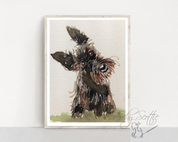 Scottie Dog Fine Art Print Scottish Terrier 64 'head Tilt | Etsy