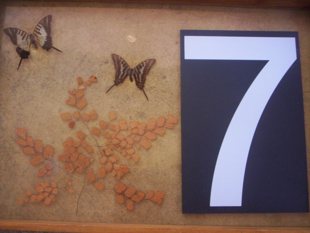 Number 7 Vintage Plastic Number/black and White Plastic Number 7 ...