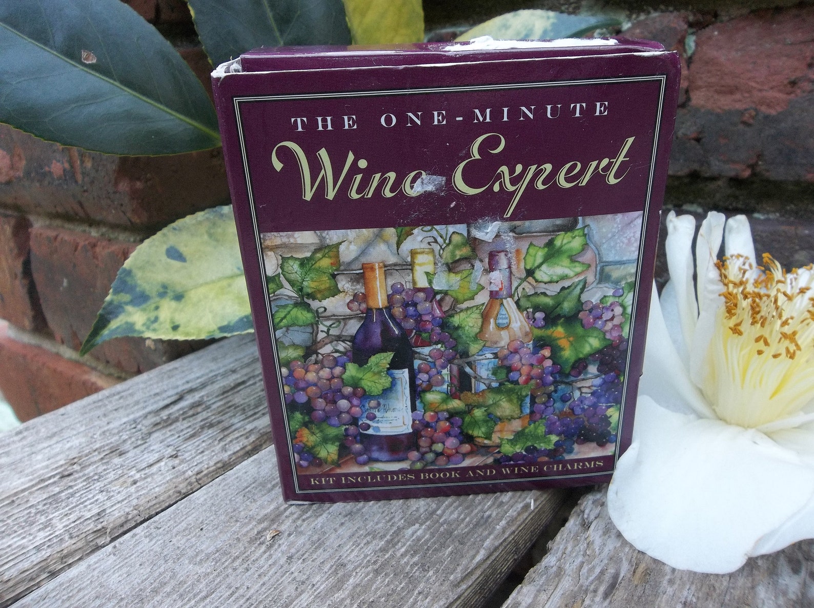 The one minute wine expert kit includes book and 4 wine | Etsy