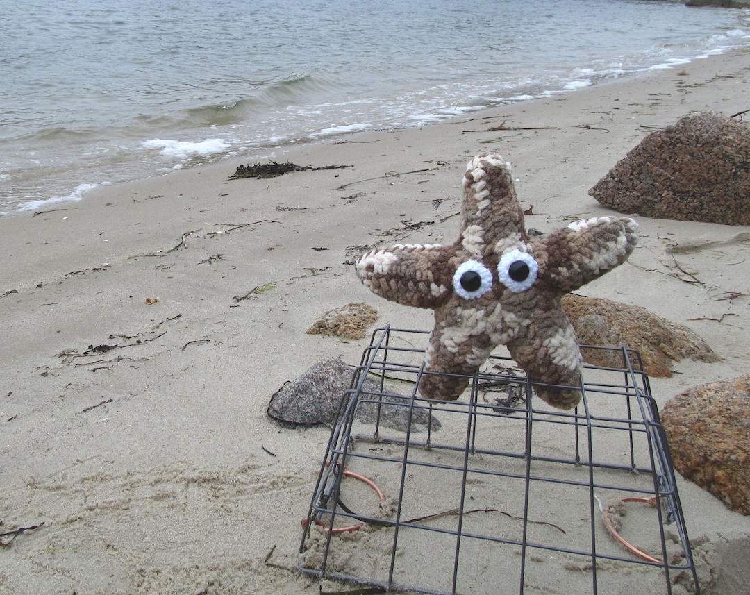 Starfish Plushie Handmade Crochet Cape Cod Amigurumi - Etsy