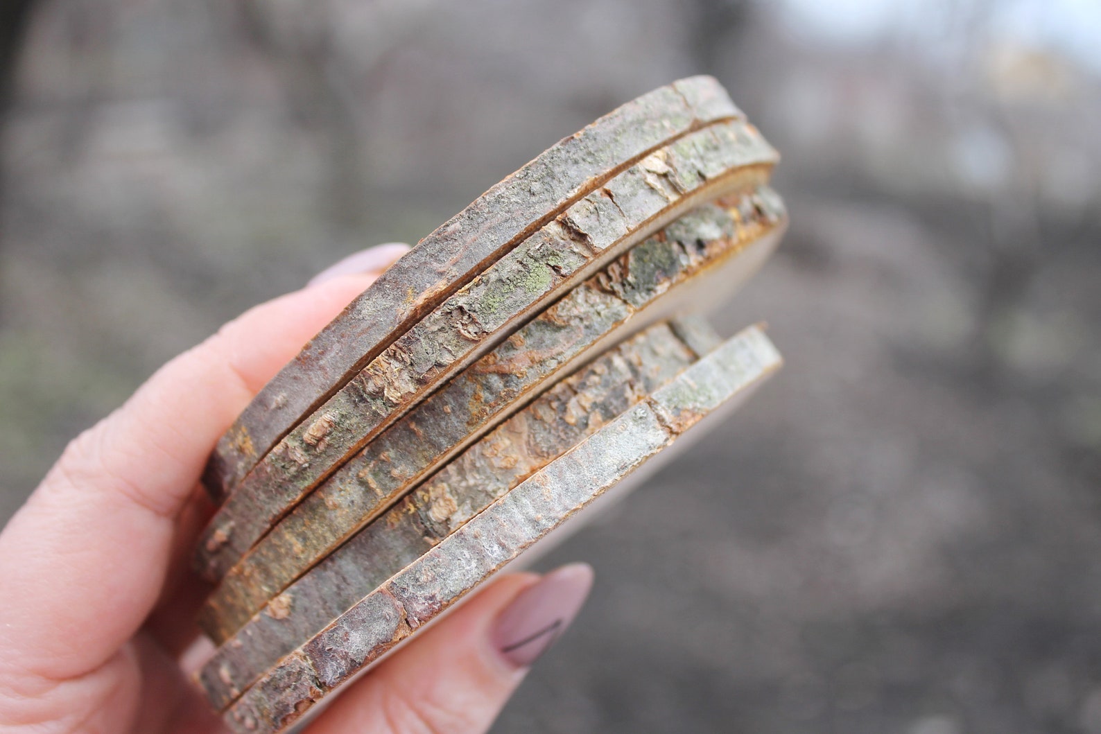 Set of 2 Unfinished Wooden Slices With Tree Bark Made of Alder | Etsy