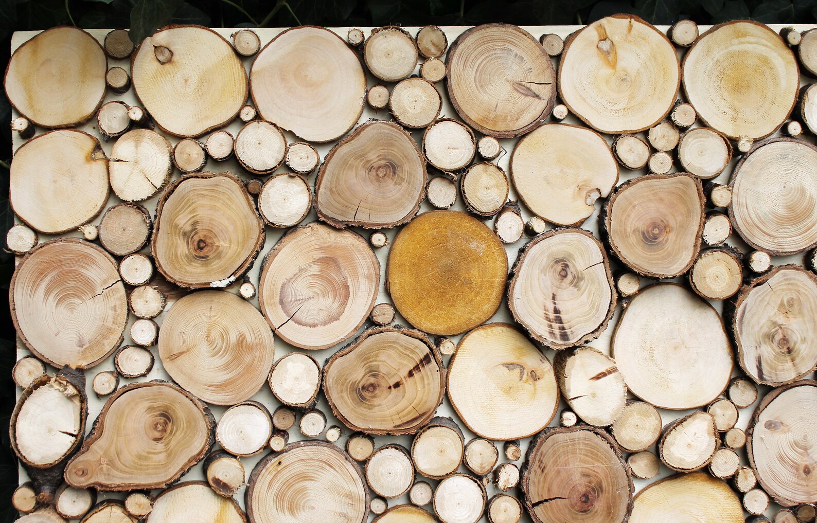 Rustic Wooden Slices Picture Wood Slices Mosaic Natural - Etsy