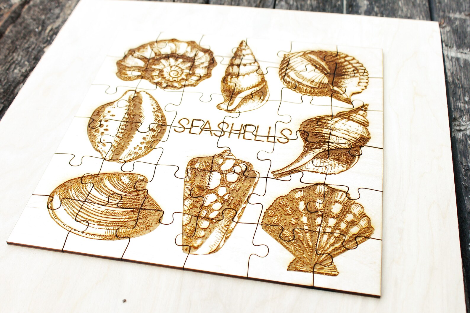 Wooden Puzzle - Sea Shells - Kids Adult Puzzle - Laser Cut Puzzle Blank ...