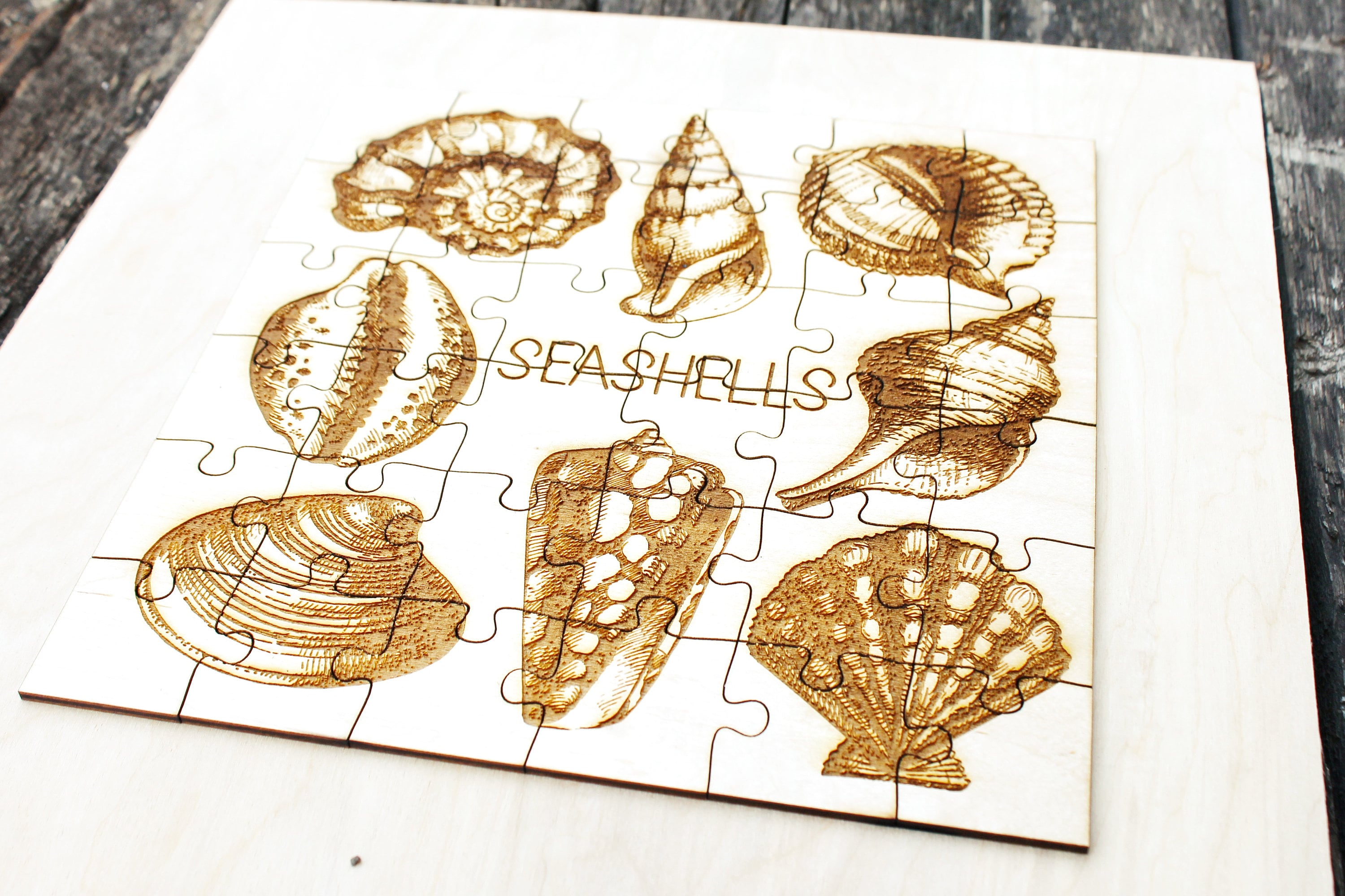 Wooden Puzzle - Sea Shells - Kids Adult Puzzle - Laser Cut Puzzle Blank ...