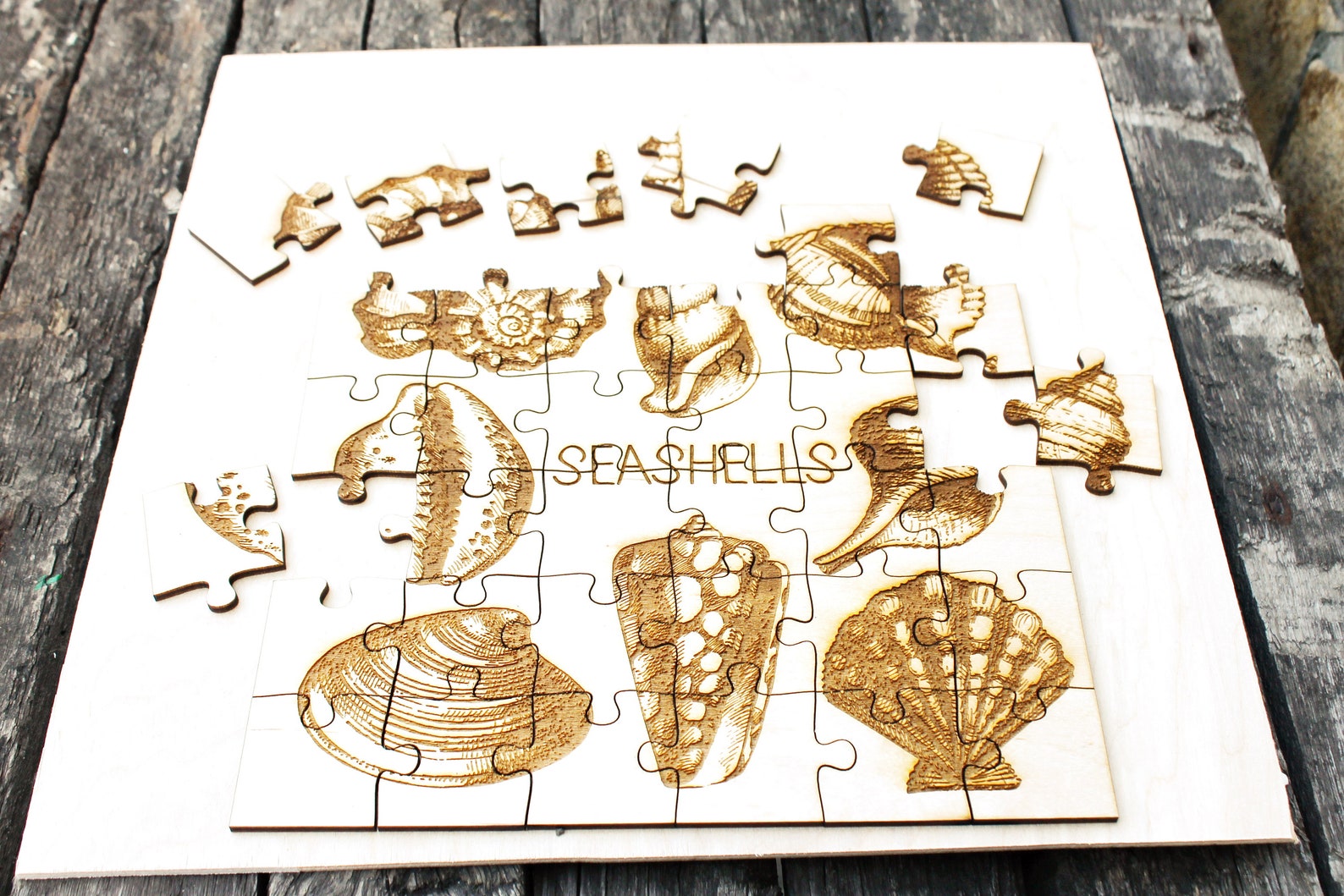 Wooden Puzzle - Sea Shells - Kids Adult Puzzle - Laser Cut Puzzle Blank ...