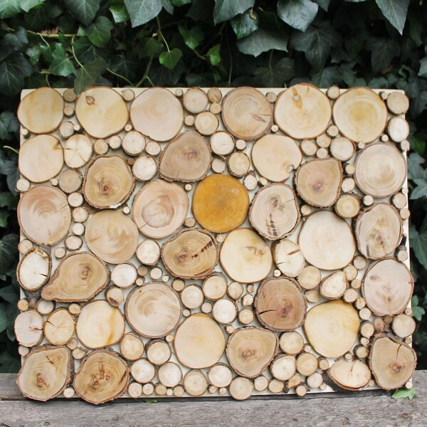 Wood Slice Wall Art - Etsy