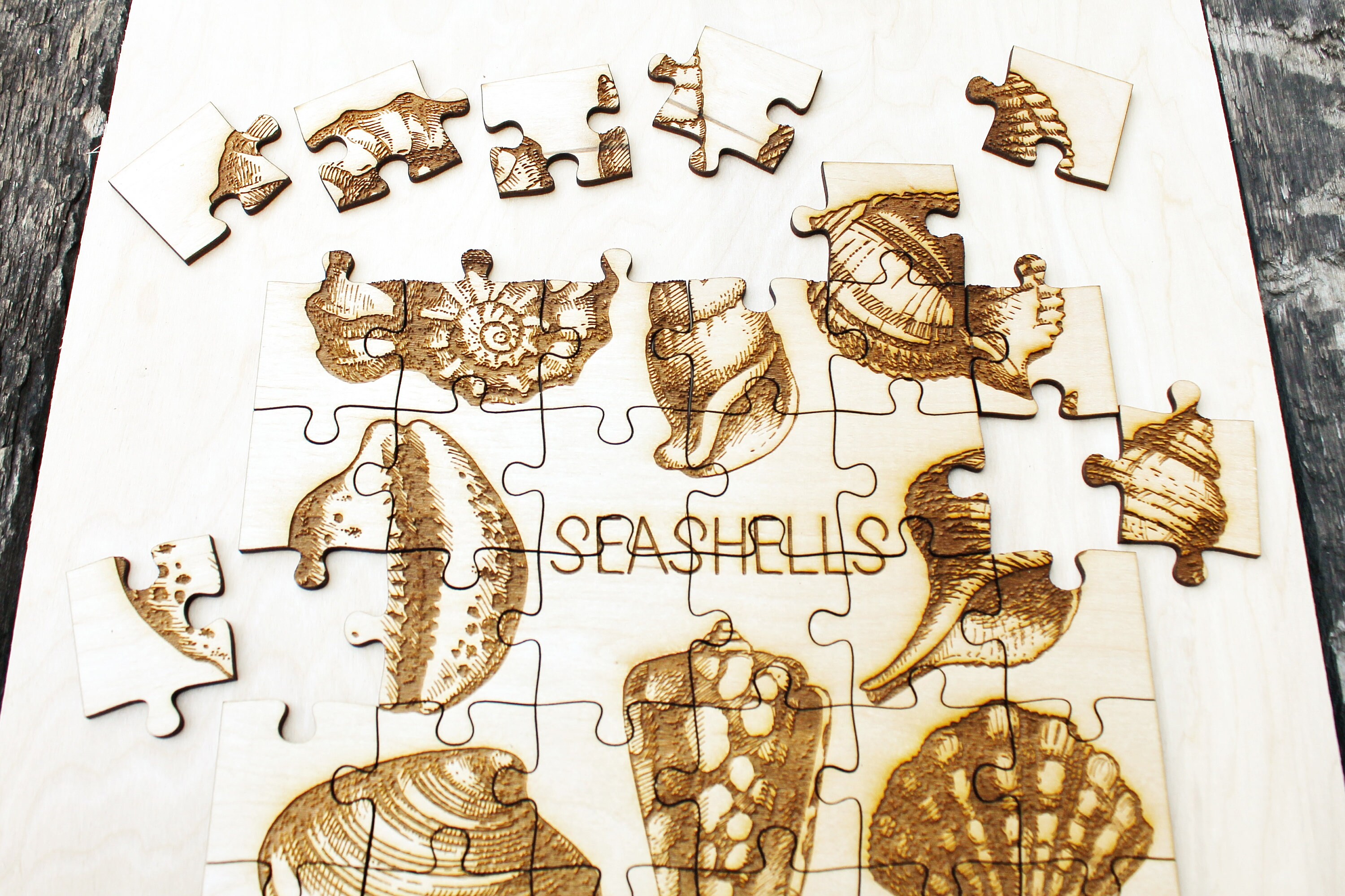 Wooden Puzzle - Sea Shells - Kids Adult Puzzle - Laser Cut Puzzle Blank ...