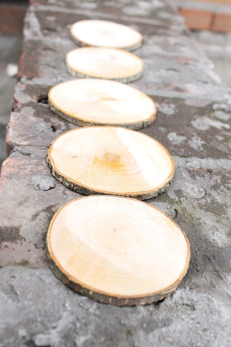 Set of 2 Unfinished Wooden Slices With Tree Bark Made of Alder - Etsy