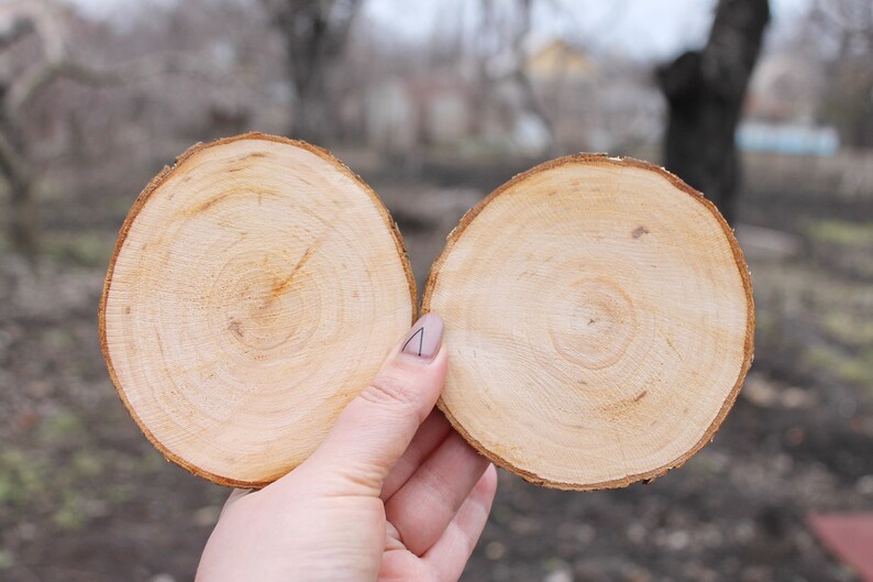 Set of 2 Unfinished Wooden Slices With Tree Bark Made of Alder Wood 90 ...