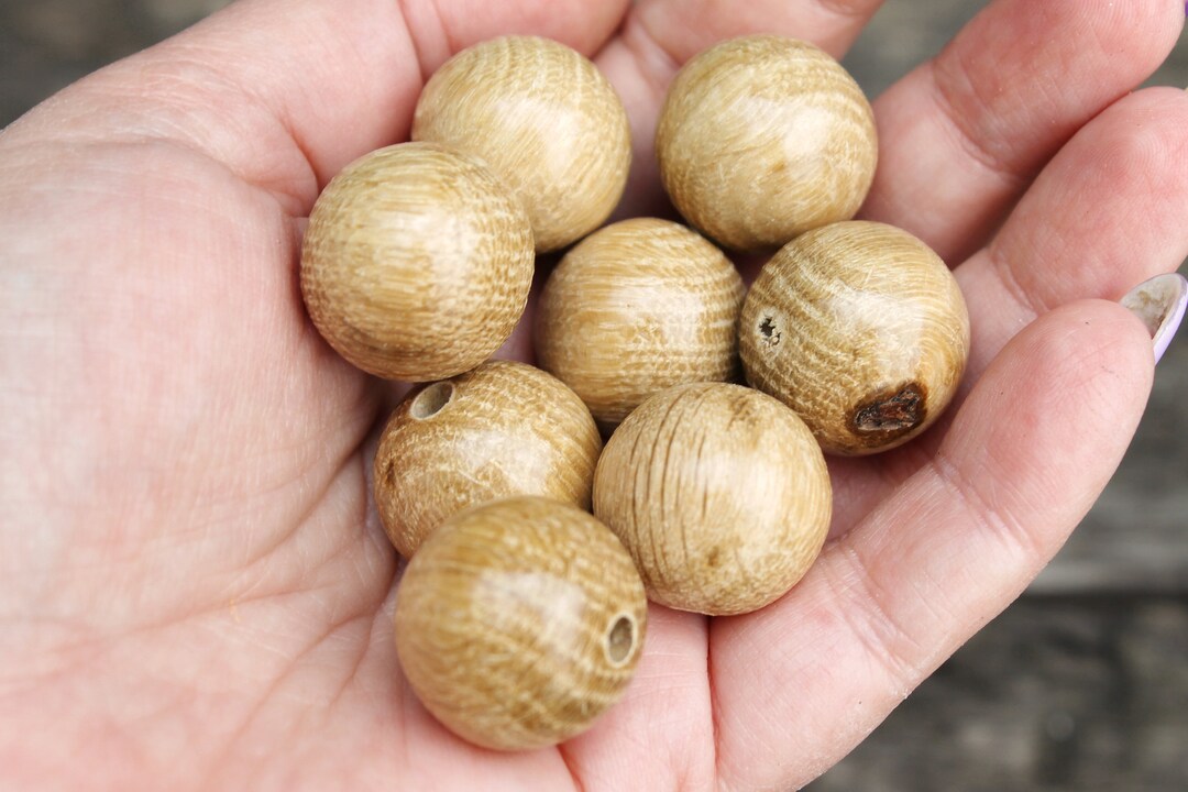 Oak Wood Beads 22 Mm 0.86 Inches Natural Wooden Beads 10 Pcs Made of ...