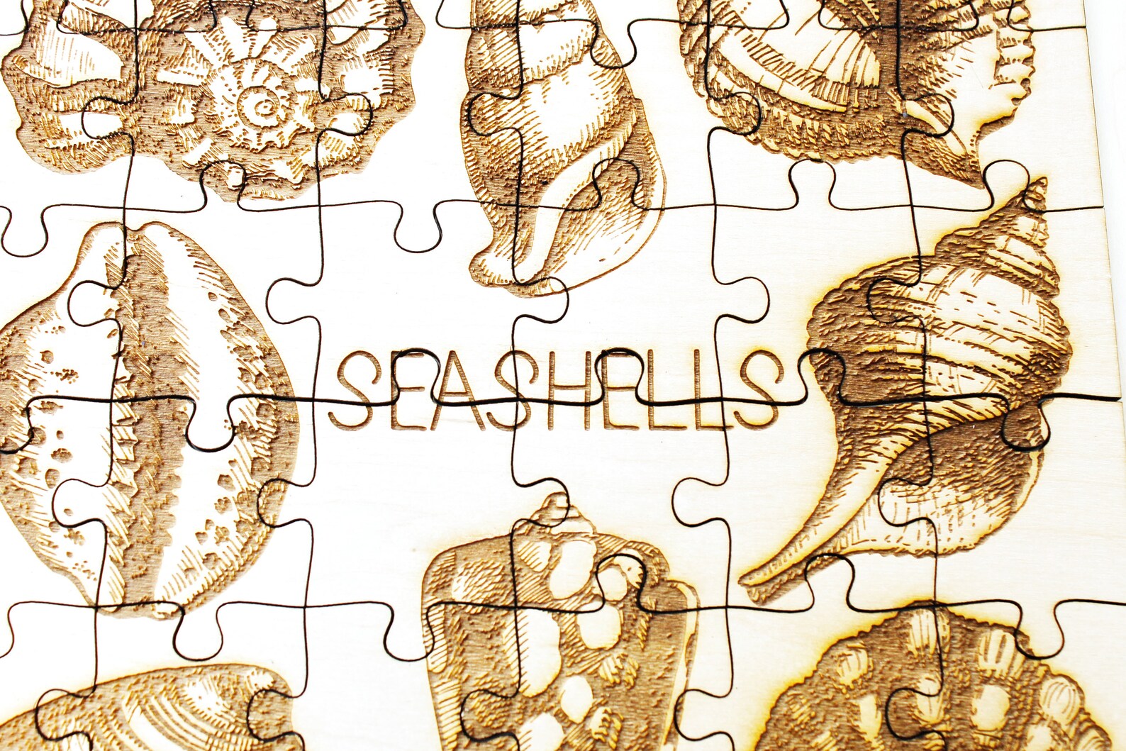 Wooden Puzzle - Sea Shells - Kids Adult Puzzle - Laser Cut Puzzle Blank ...