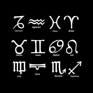 Zodiac Sun Sign Astrology Decals - Etsy