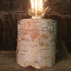 Birch Log Accent Lamp - Etsy