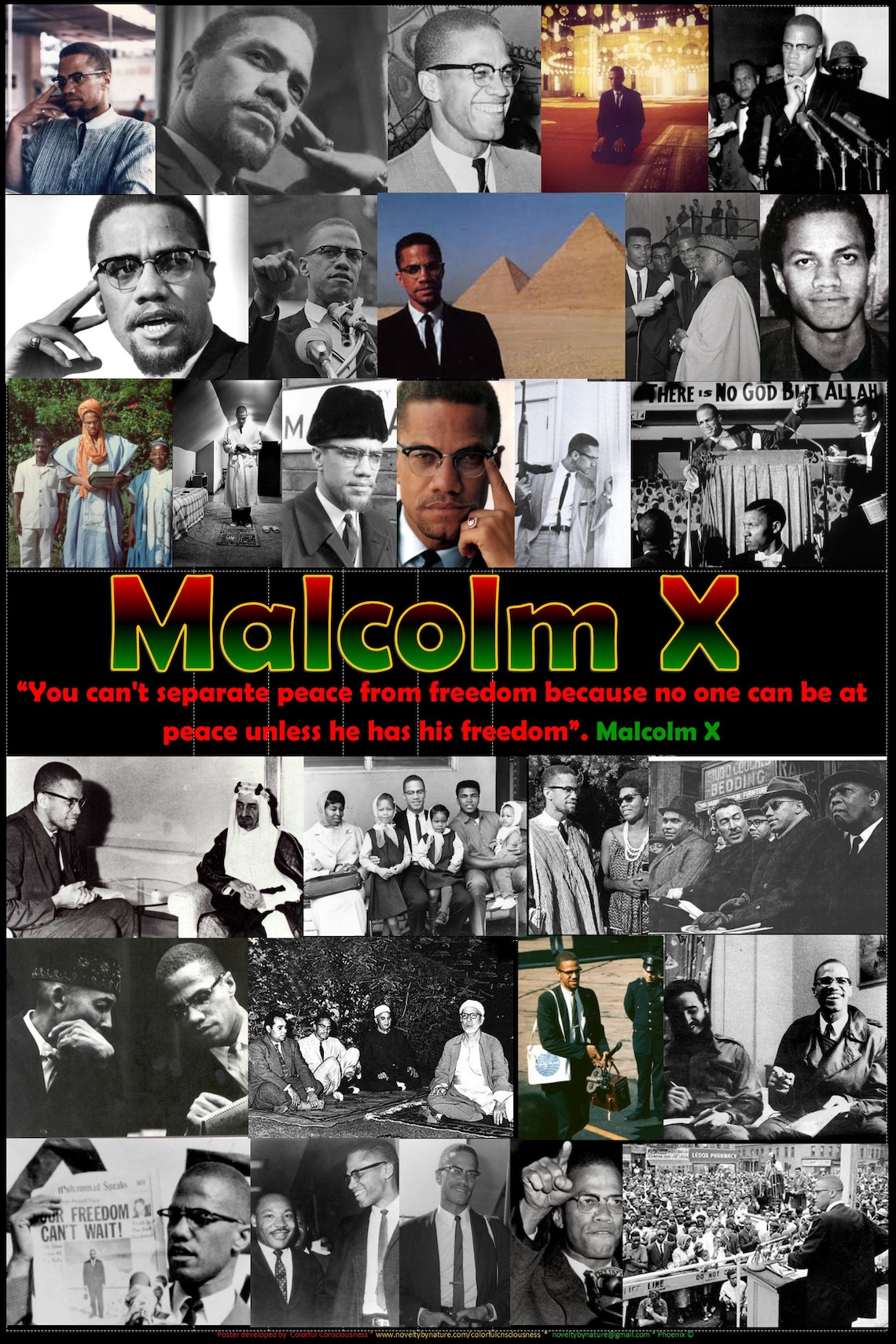 Malcolm X Poster - Etsy