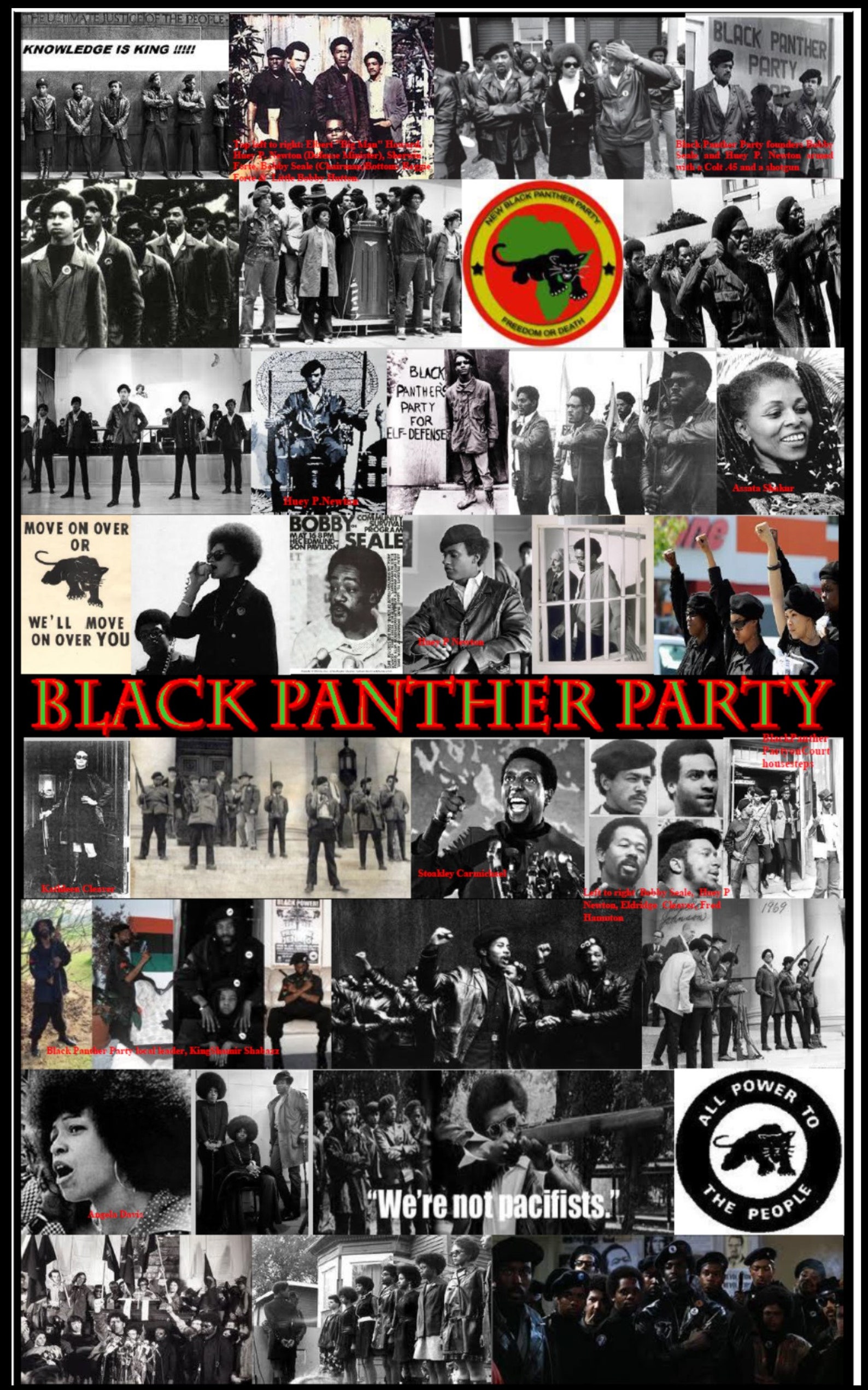 Black Panther Party Poster, Black History Poster, Black Power Poster ...