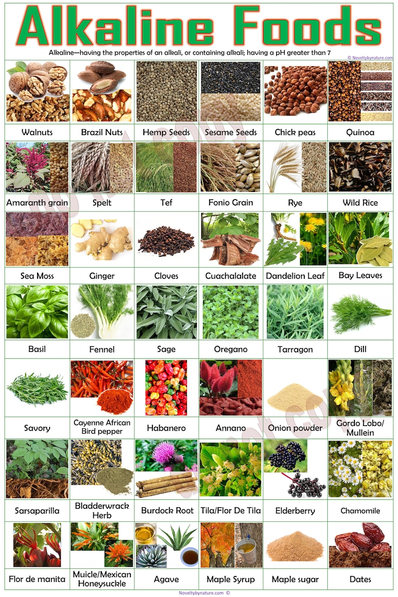 Alkaline Food Poster Healthy Food Poster Alkaline Vegetable Alkaline ...
