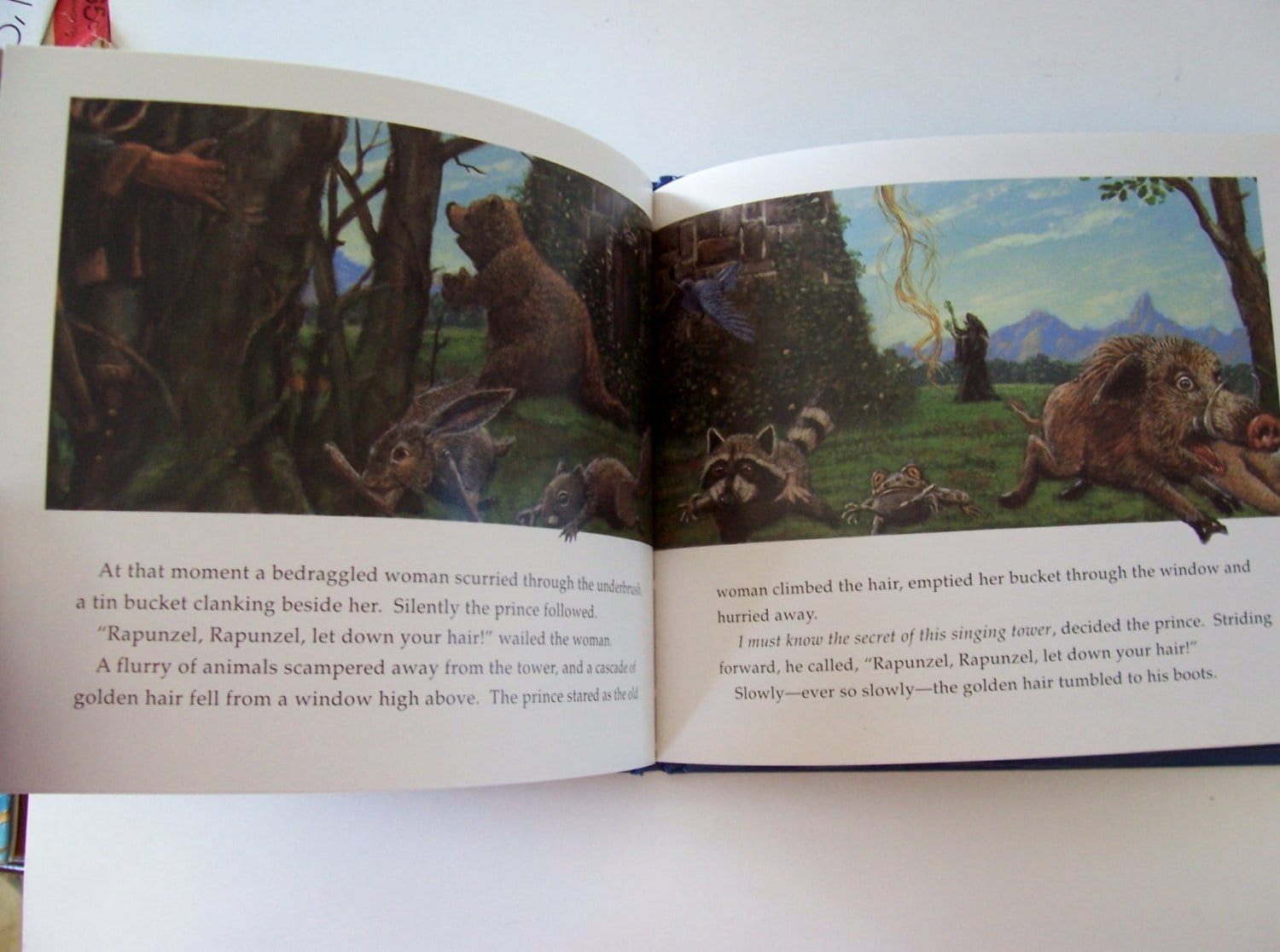 Rapunzel Story Book Fairy Tale Book Brothers Grimm Fairy - Etsy