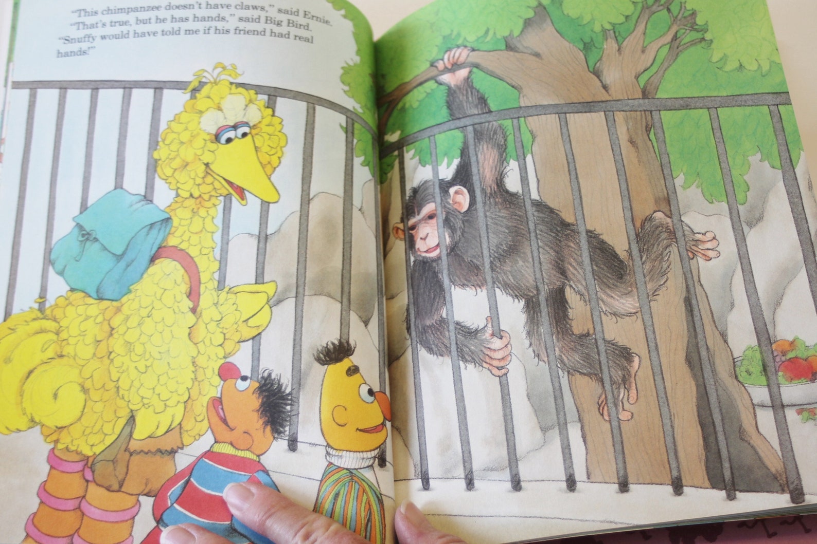 Sesame Street Book Club: who's Who at the Zoo | Etsy