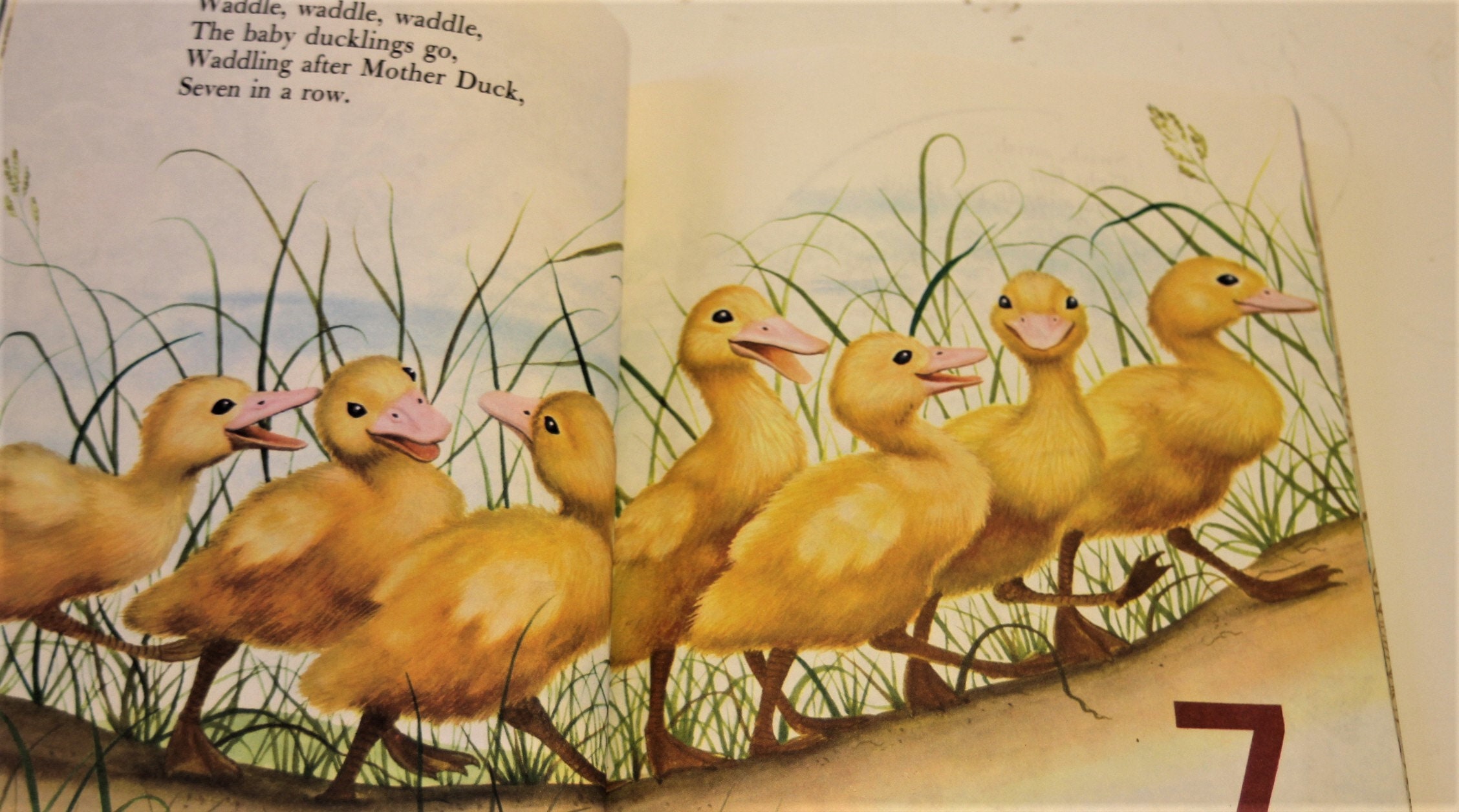 Little Golden Book my First Counting Book Children's Book, Story Book ...
