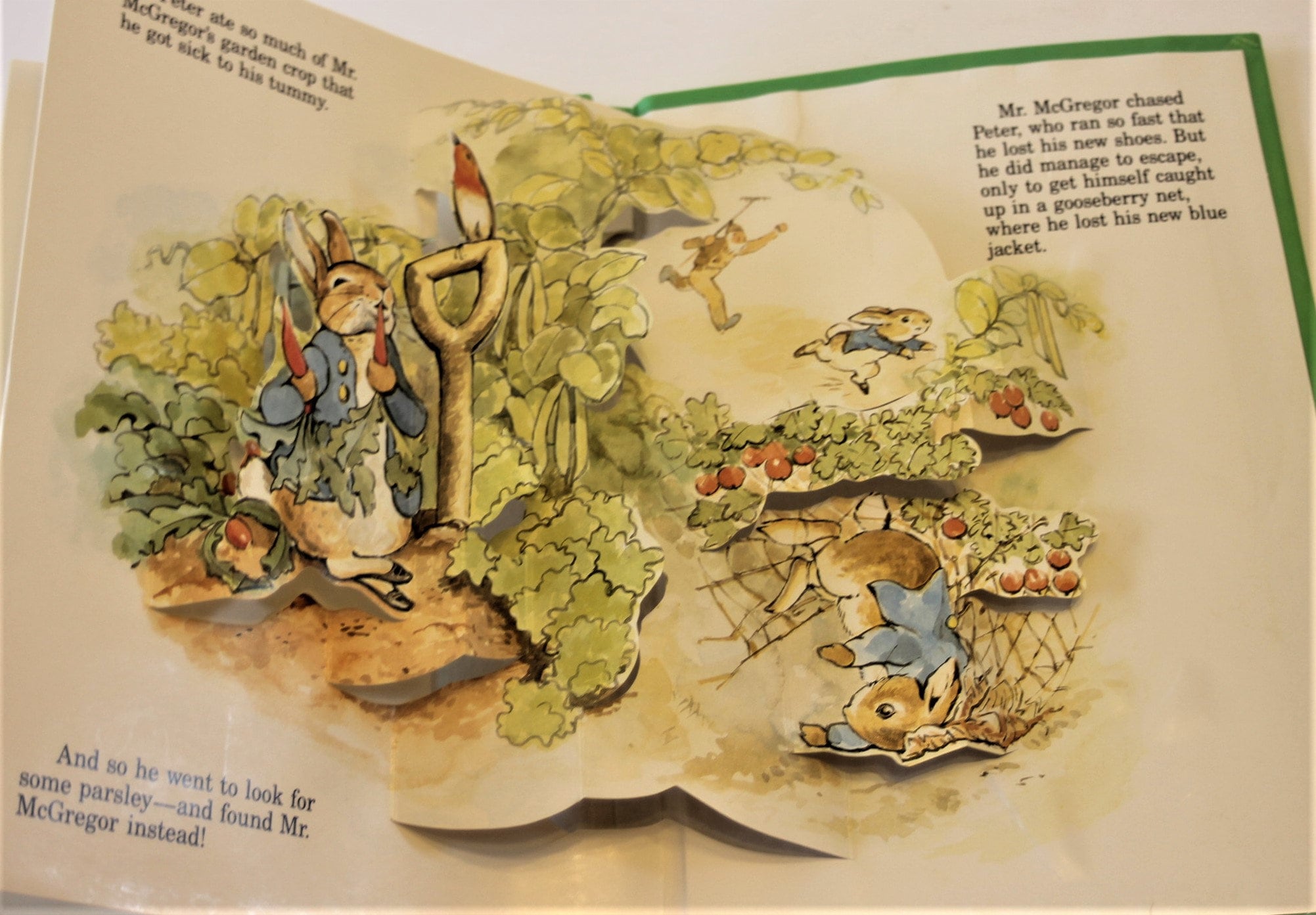 Peter Rabbit Pop Up Book