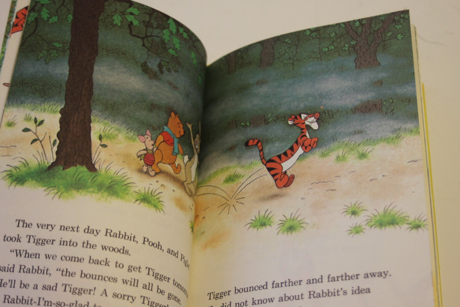 Disney's winnie the Pooh and Tigger Too Hardbound Book From Disney's ...