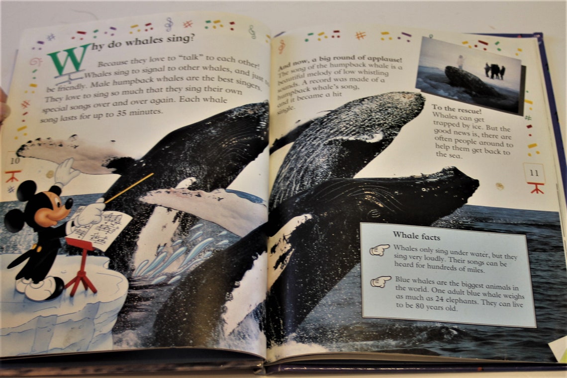 Disney's why Do Whales Sing Children's - Etsy
