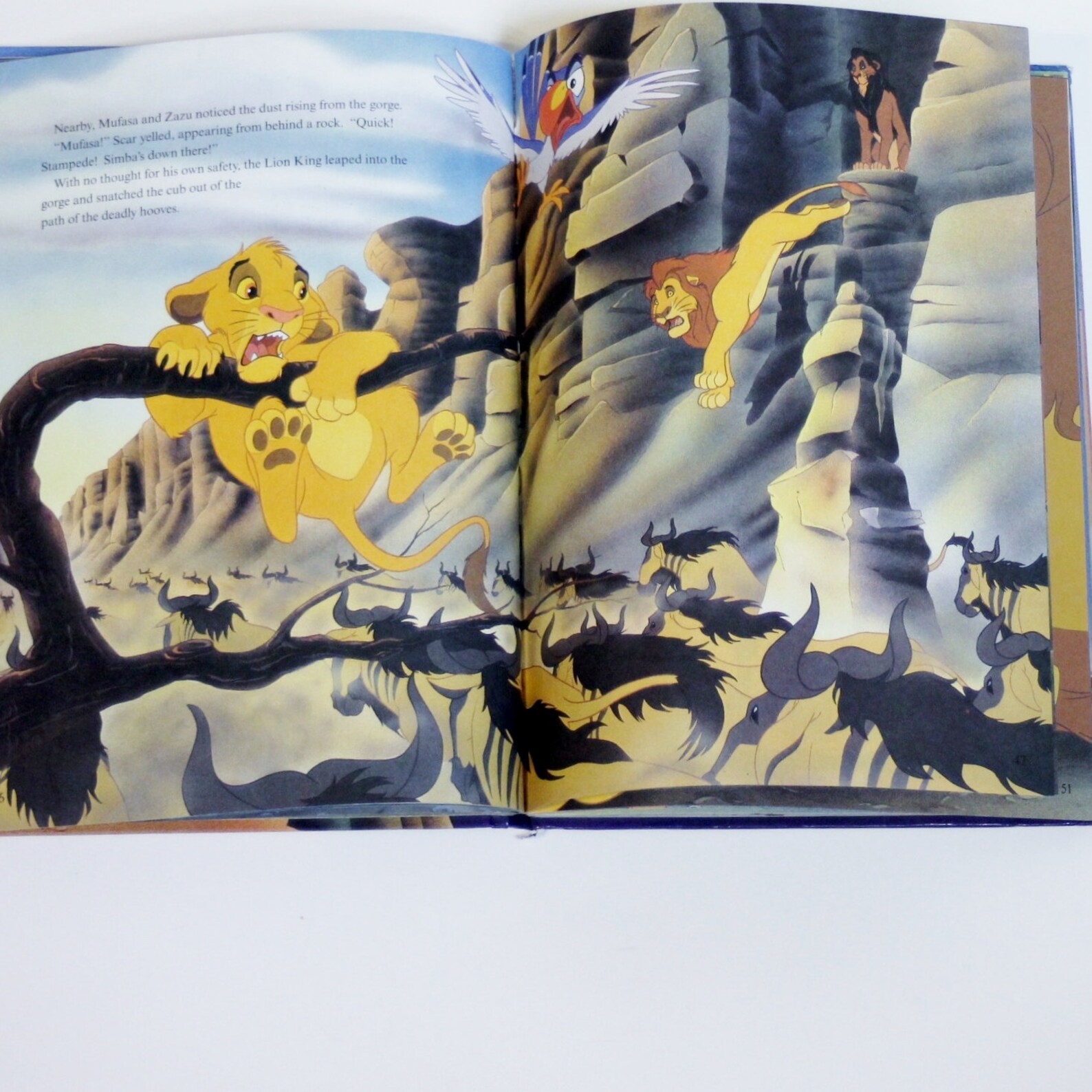 Disney's the Lion King Disney Book Children's Book - Etsy