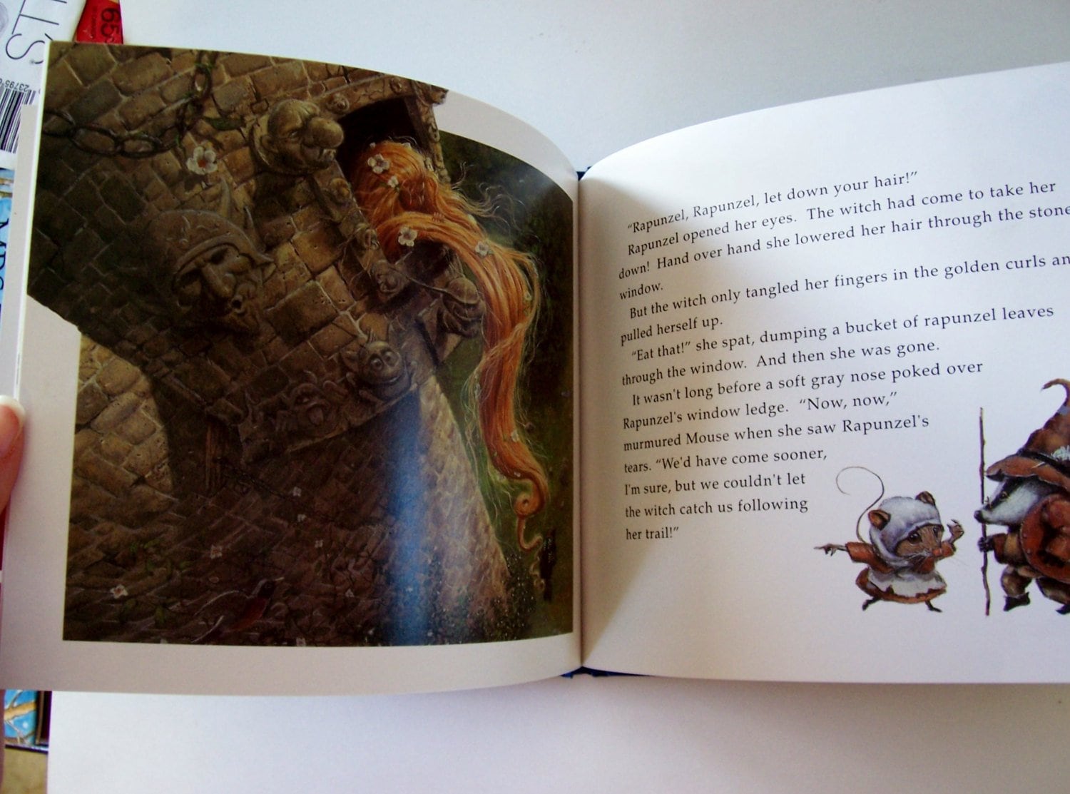 Rapunzel Story Book Fairy Tale Book Brothers Grimm Fairy - Etsy