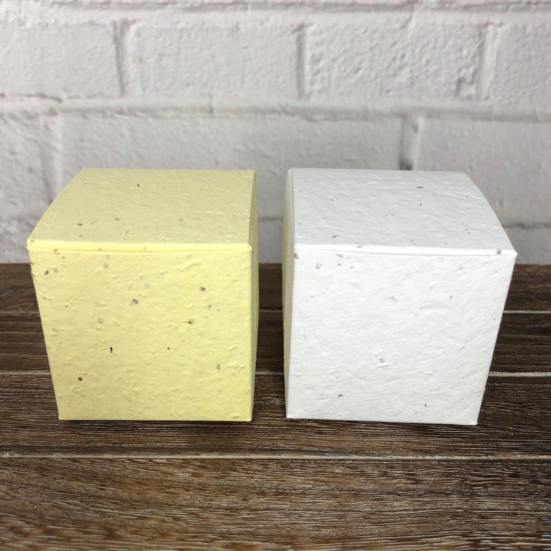 Seed Paper Favors - Etsy