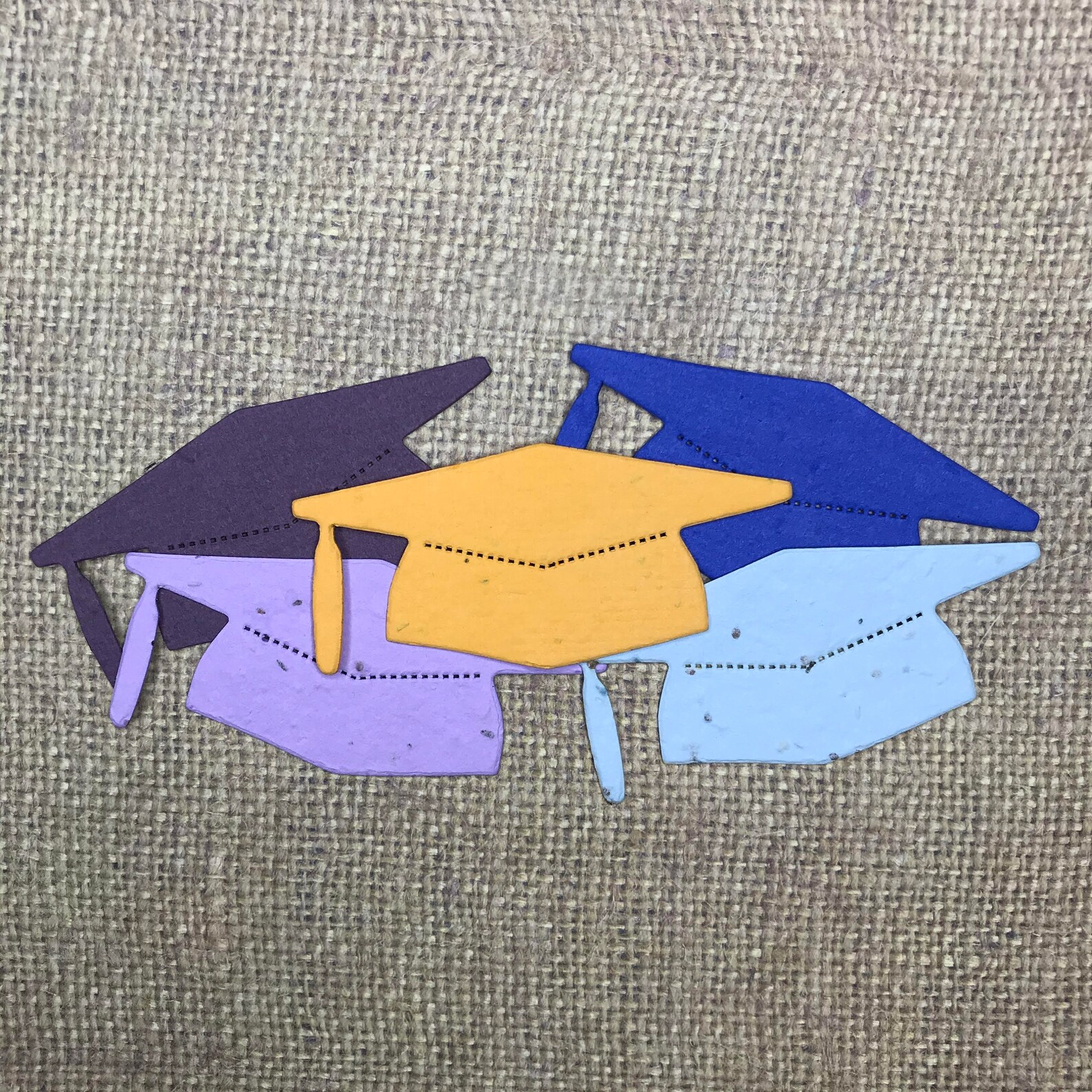 20 Graduation Caps Plantable Seeded Paper Shape Favors - Etsy